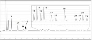 RGA (refinery gas) analysis by Micro GC Fusion - CHEMLYS